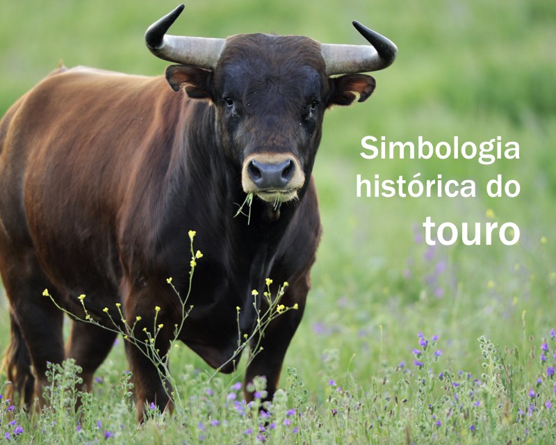 Simbologia do Touro